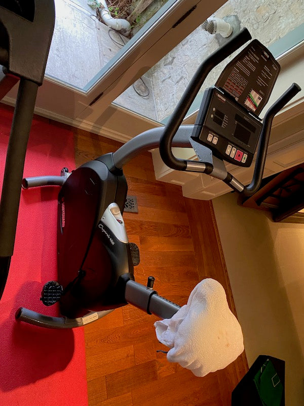 Bodyguard Fitness Organic VSG Exercise Bike – Sell My Stuff Canada ...